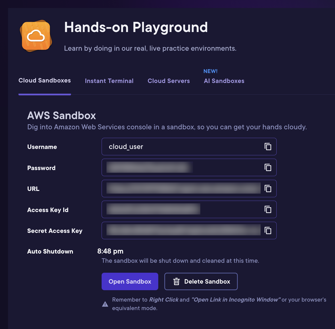Cloud sandboxes: getting started – Pluralsight Help Center